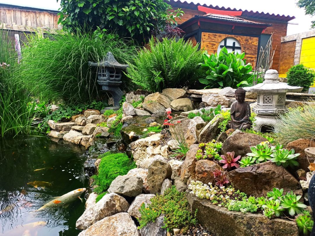 Japanski vrt - najlepši vrt 2022. - Danijel Jenei | Rasadnik Mihalek