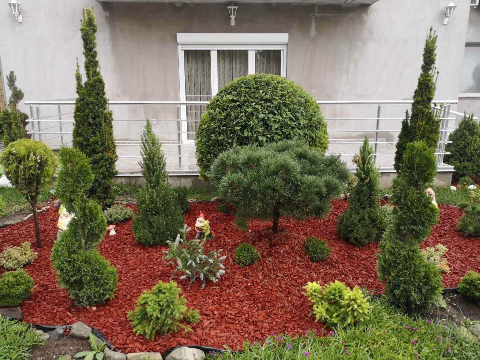 Najlepši ukrasni grmovi za dvorišta | Rasadnik Mihalek